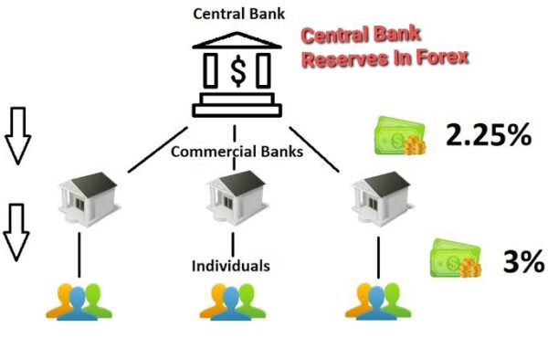 Central Bank Reserves - A Key Consideration in the GDP Growth Report